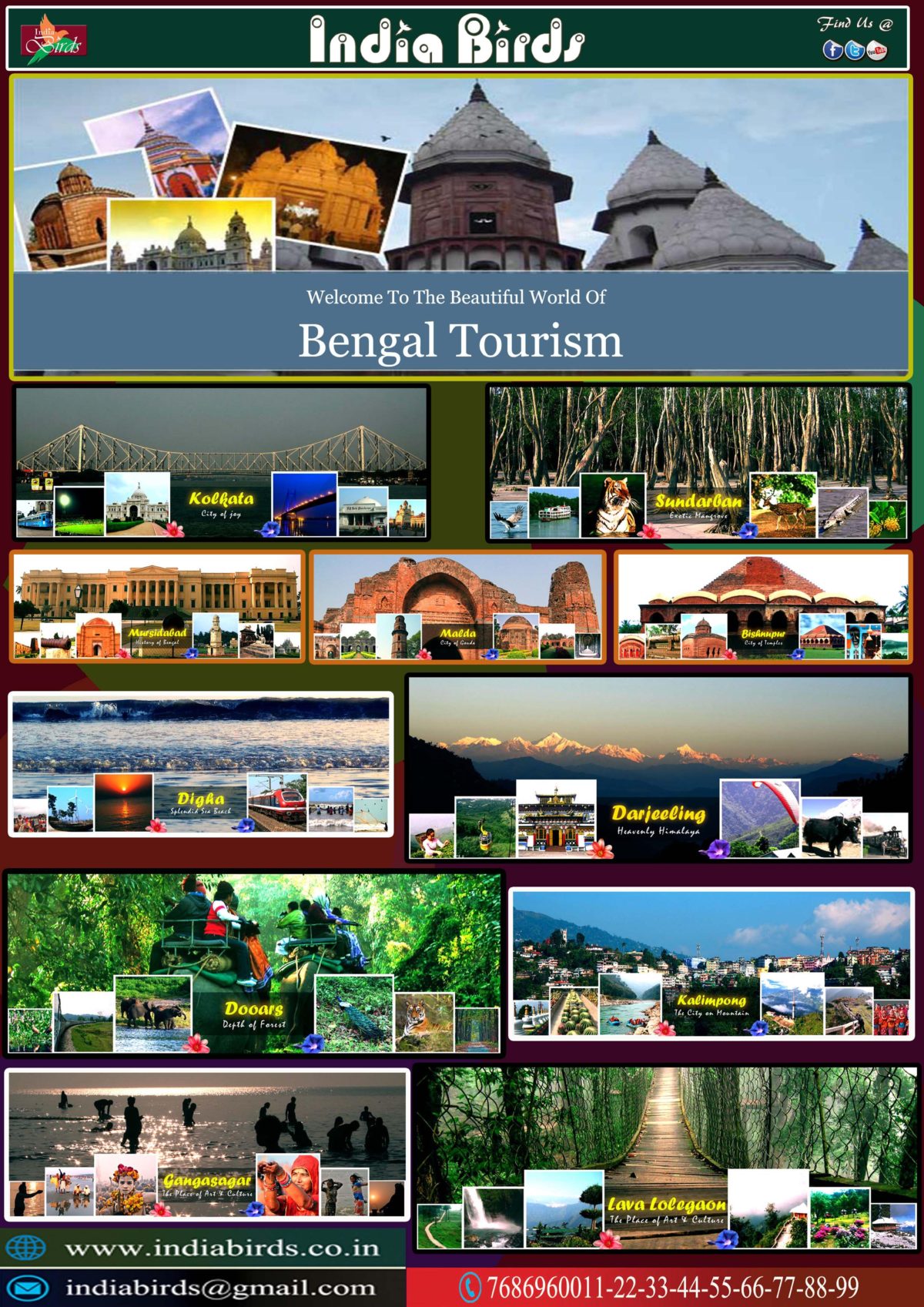 Brochure – India Birds